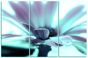 Obraz na plátně - Kapka rosy na lupenech květu 180FB (90x60 cm  )