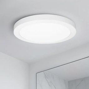 Solight WD244-W - LED Panel 2v1 24W/230V 3000/4000/6000K pr. 30 cm IP54 bílá