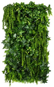Vertikální zahrada Green Ivy 50x100