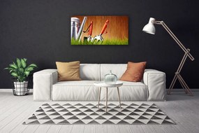 Obraz na plátně Tráva Nářadí Umění 140x70 cm