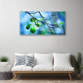 akrylový obraz Větev Listy Rostlina Příroda 100x50 cm