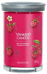 Yankee Candle Tumbler velký Red Raspberry, 567g