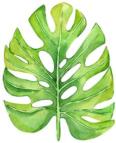 Ilustrace Watercolor hand painted green tropical leaves,, DZHAMILIA ABDULAEVA, (40 x 40 cm)