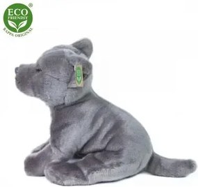 RAPPA Plyšový pes stafordšírský bulteriér 30cm / ECO-FRIENDLY / od 0 m