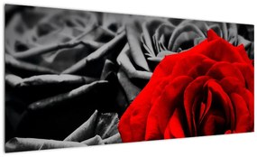 Obraz červené růže (100x40cm)