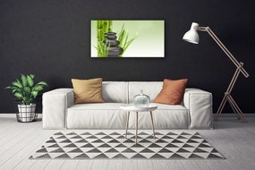 Obraz na plátně Bambus Tráva Rostlina Příroda 100x50 cm