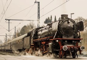 Postershop Fototapeta: Parní lokomotiva (1) - 184x254 cm