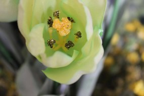 Zelený umělý tulipán s listy 67cm 1ks