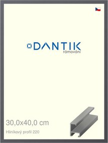 DANTIK rámeček 30x40 | ALU profil 6220 Ocelová (Plexi Čiré)