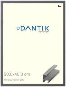 DANTIK rámeček 30x40 | ALU profil 6220 Ocelová (Plexi Čiré)