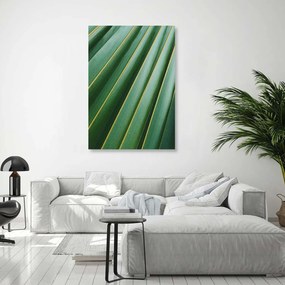 Obraz na plátně Palmové listy Zelená rostlina - 60x90 cm