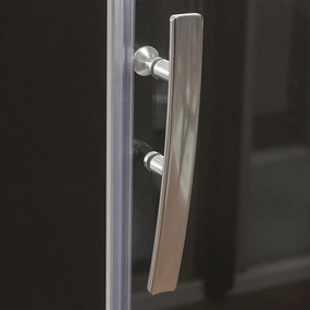 Roth PROXIMA LINE PXD2N Posuvné sprchové dveře pro instalaci do niky 140 cm Profil: Lesk, Sklo: Hladké čiré