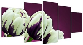 Makro tulipánů - obraz