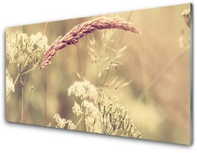 Obraz na skle Divoké Rostliny Příroda 100x50 cm