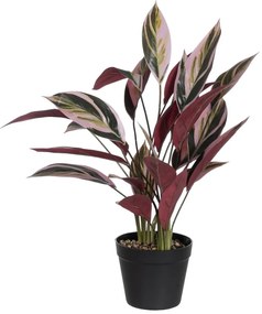 Umělá rostlina (výška 55 cm) Bird of Paradise – Ixia