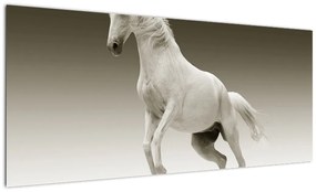 Obrazy bílého koně (100x40cm)