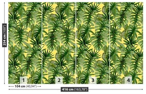 Fototapeta palma monstera 104x70