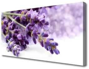 Obraz na plátně Květiny Příroda Rostlina 100x50 cm