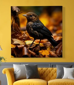 Obraz na plátně - Černý ptáček hledá potravu v listí FeelHappy.cz Velikost obrazu: 120 x 120 cm