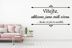 Lepy.cz Samolepka na zeď Uklizeno jsme měli včera Velikost (šířka x výška): 65x37cm, Barevná varianta: Světle hnědá