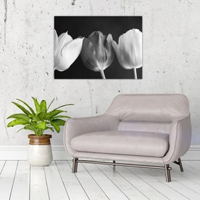 Skleněný obraz - Černobílé květy tulipánů (70x50 cm)