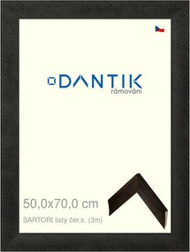 DANTIK rámeček 50x70 | SARTORI listy čer.s. (Plexi Čiré)