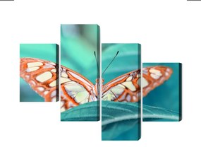 Vícedílný obraz Motýl Na Listu V Makro Měřítku Nedostatek Nedostatek Přírodní plátno 120x75