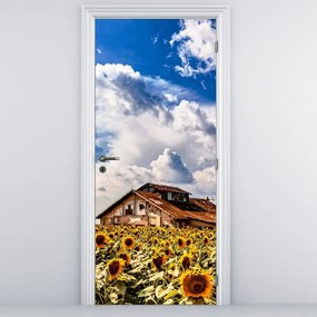 Fototapeta na dveře - Slunečnicové pole (95x205cm)