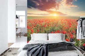 Fototapeta Poppy Field Hladký vinyl 270x180