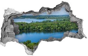 Wallmuralia Nálepka fototapeta 3D výhled Les nad jezerem 95x73 cm