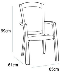 ALLIBERT MINNESOTA Zahradní židle, 61 x 65 x 99 cm, grafit 17198329