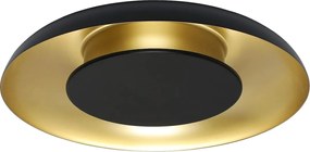 Stropní LED svítidlo Piattino, 1x LED 30w, 3000-6000k, b/g