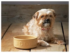 Kameninová miska pro psy Mason Cash Pet Cane Dog, ø 25 cm