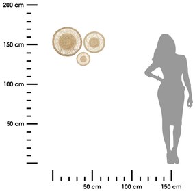 Proutěná dekorace na zeď Nyla (fi) 18 cm + 28 cm + 38 cm sada 3ks