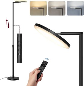 Stojící lampa LFL008BD02