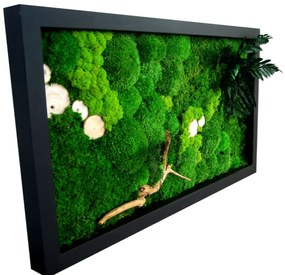 OznTo Obraz mechu a rostlin,3velikosti,3barvy Barva rámečku: Černá, Rozměr rámečku: 70x40cm
