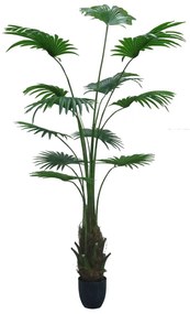 Umělý dekorativní strom - WASHINGTONIA
ROBUSTA GD4294