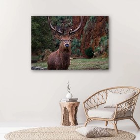 Gario Obraz na plátně Král lesa Rozměry: 60 x 40 cm