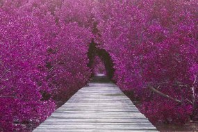 DIMEX | Samolepicí vliesová fototapeta na zeď Dřevěný most MA-5-0665 | 375 x 250 cm | fialová, šedá