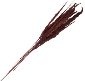 Sušené květy Hnědé 100 cm (10) – 100 cm