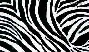 Gekkofix Samolepící fólie Decor, Zebra Varianta: Zebra, šíře 67,5cm, balení 15m
