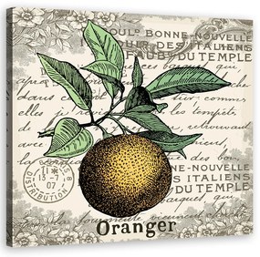 Obraz na plátně, Vintage oranžová - 40x40 cm