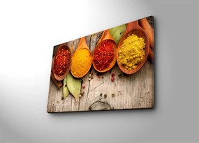 Obraz SPICY 45x70 cm vícebarevný