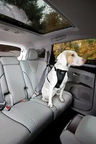 Kurgo Seatbelt Tether černá / Bezpečnostní autopás pro psa s ouškem