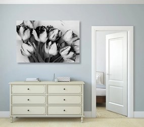 Obraz jarní tulipány v černobílém provedení