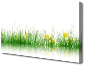 Obraz na plátně Příroda Tráva Květiny 100x50 cm
