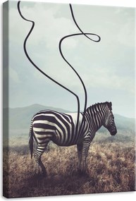 Obraz 50x70 Zebra černobílé pruhy abstrakce surrealismus klid umění