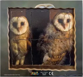 Just Jigsaws 647 Sova a její životní cyklus - dřevěné vrstvené puzzle