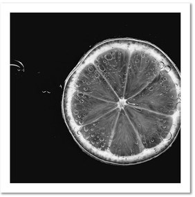 Gario Obraz na plátně Plátek citronu černobílý Rozměry: 30 x 30 cm