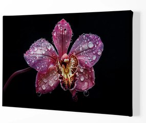 Obraz na plátně - Orchidej, kapky souznění FeelHappy.cz Velikost obrazu: 120 x 80 cm